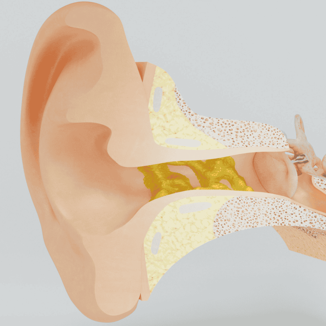 Understanding the Ear Canal - Crystal Clear Clinic